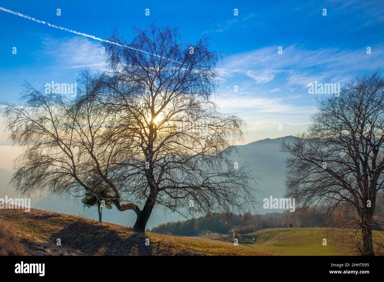 Backlight poster hi-res stock photography and images - Alamy