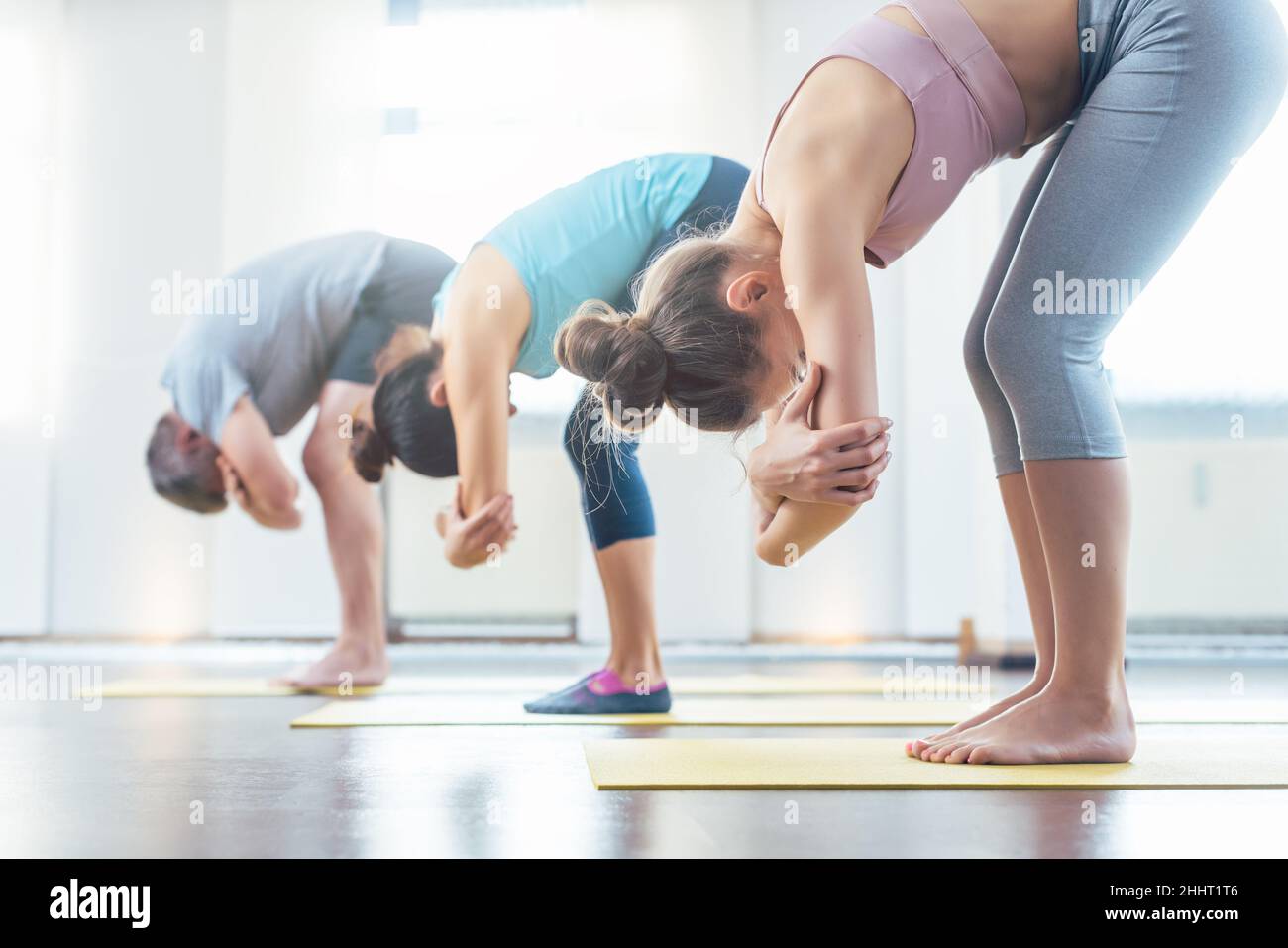 Yoga students in forward fold Stock Photo - Alamy