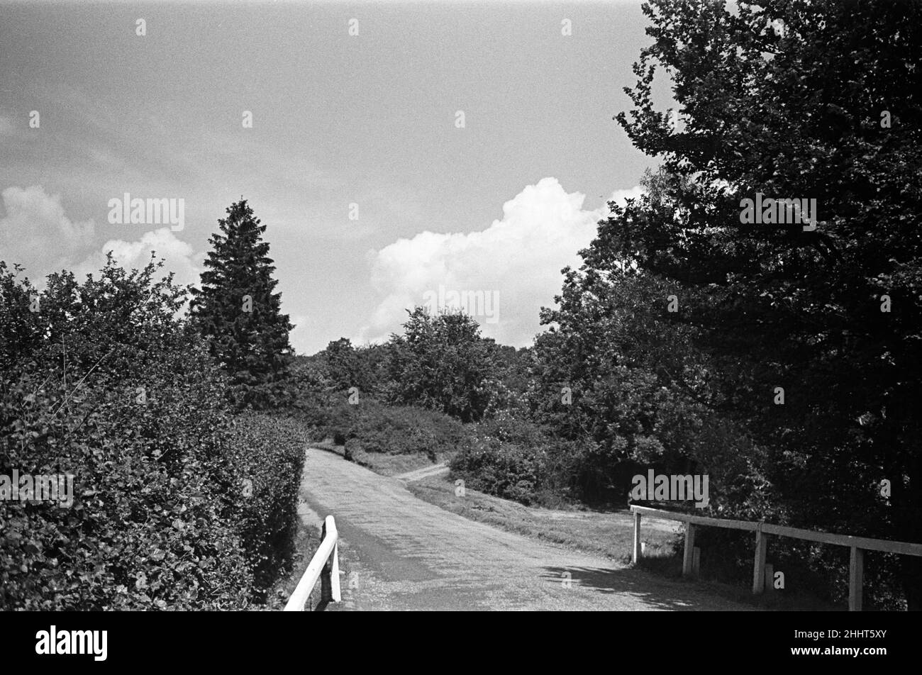 Burnham Beeches, Buckinghamshire. 3rd July 1944 Stock Photo - Alamy