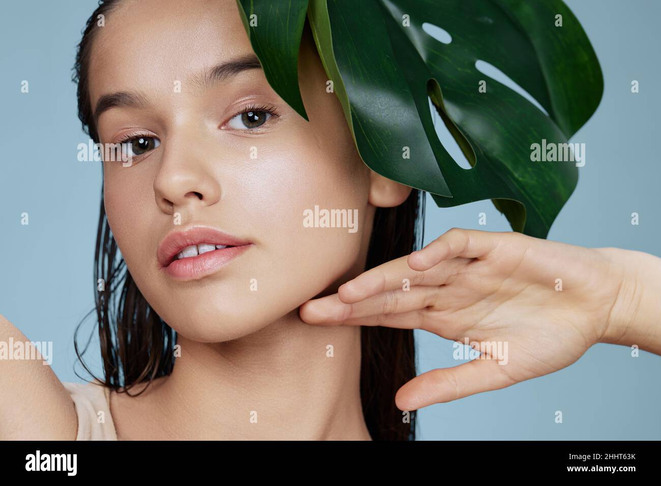 beautiful natural pure skin exotic green leaf isolated background Stock ...