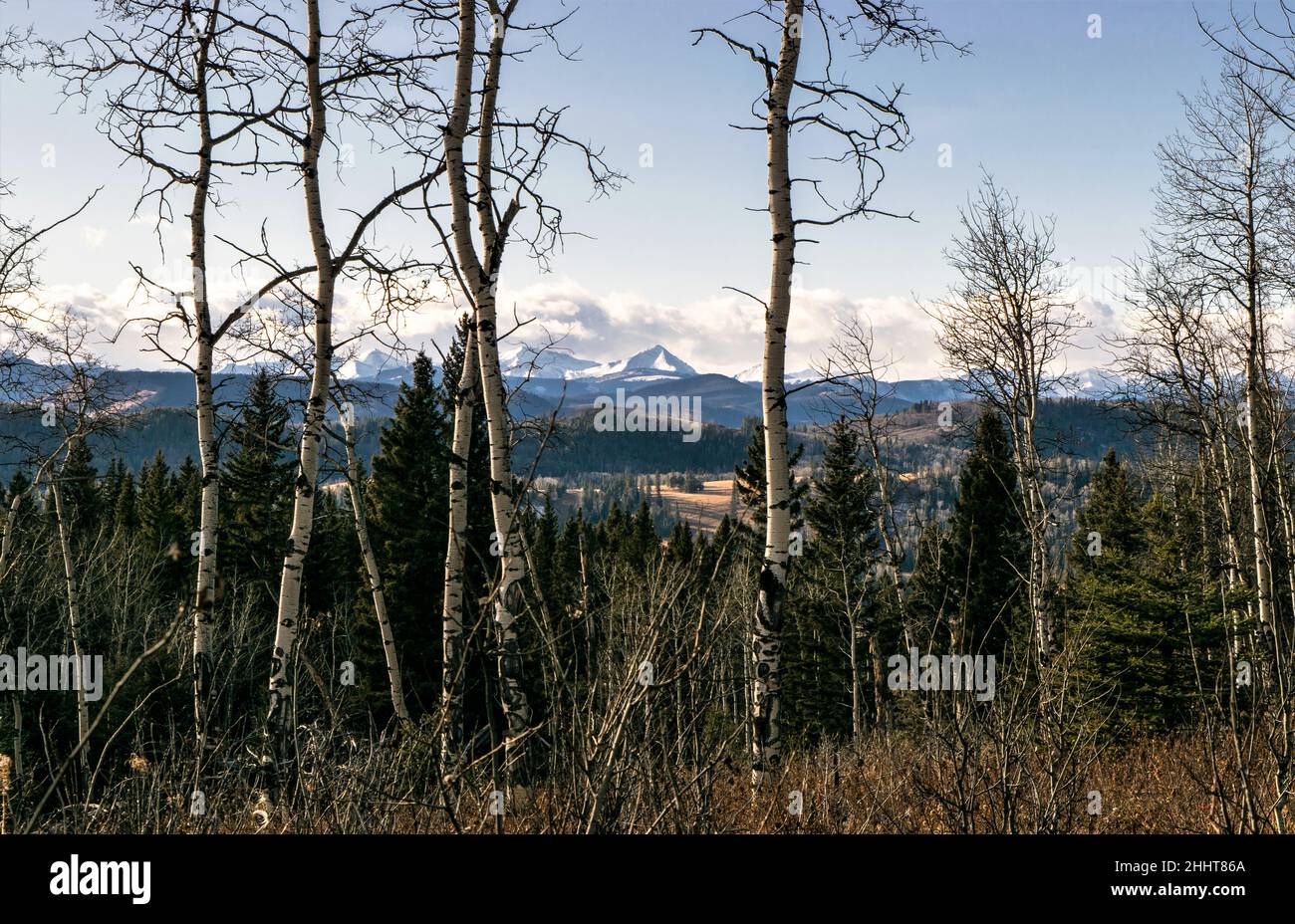 Fall hike in the foothills of Alberta Stock Photo - Alamy