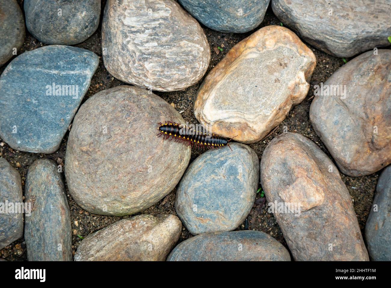 The worm stones hi-res stock photography and images - Alamy