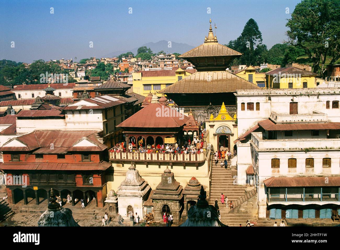 Overview of Pashupatinath Temple, Pashupatinath, Kathmandu Valley ...