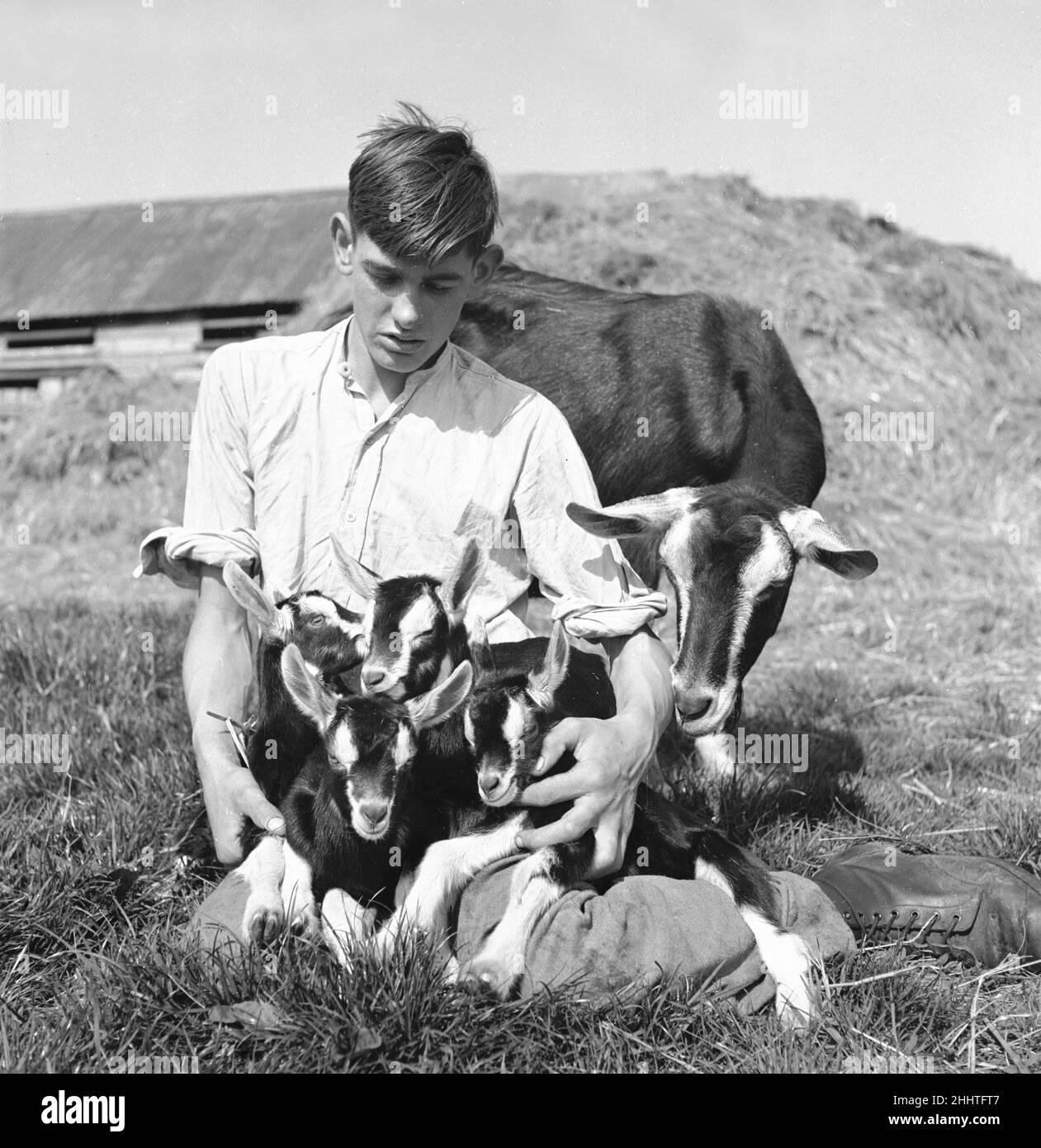 Ww2 farm agriculture hi-res stock photography and images - Alamy