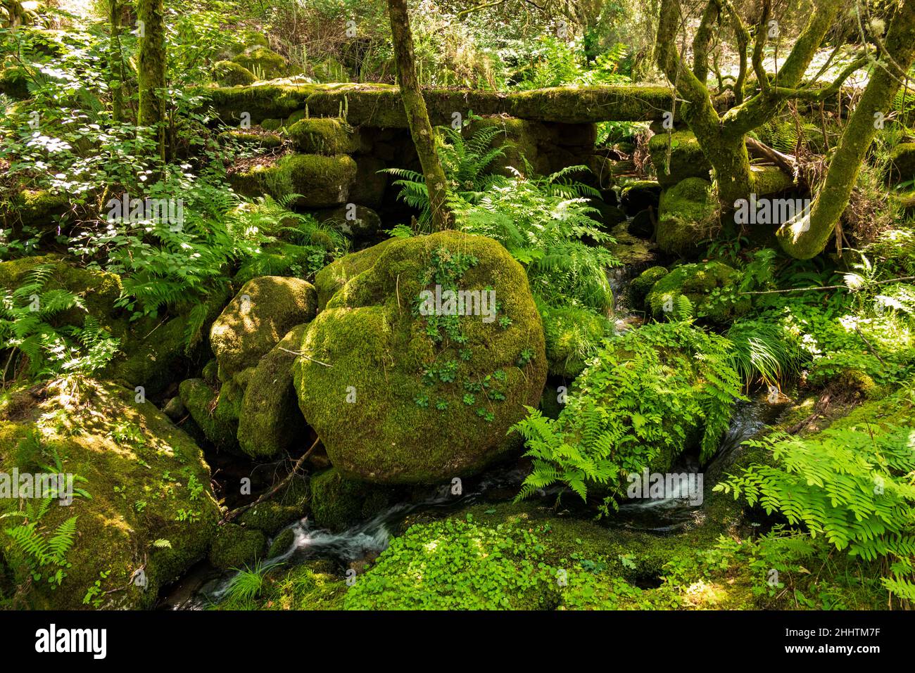 Moss covered bridge hi-res stock photography and images - Alamy