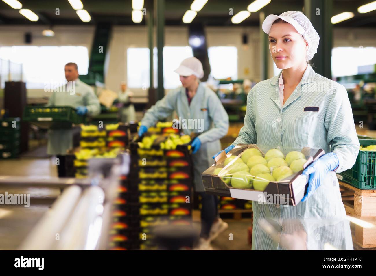 girl carrying box with packed apples to storage Stock Photo - Alamy