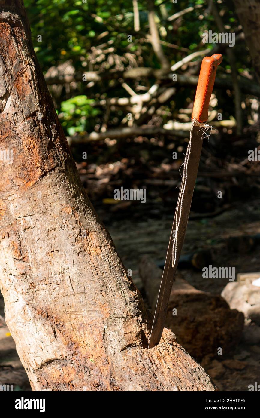 Large Knife Known as a Machete Stuck into a Log Stock Photo - Alamy