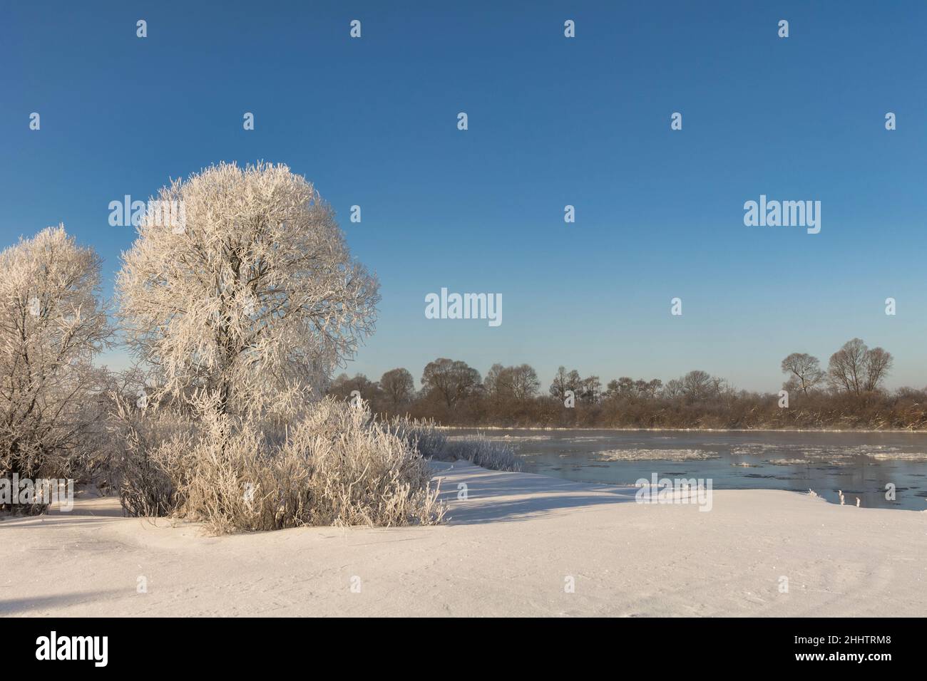 Beautiful view of the ice drift on the river and the branches of plants ...