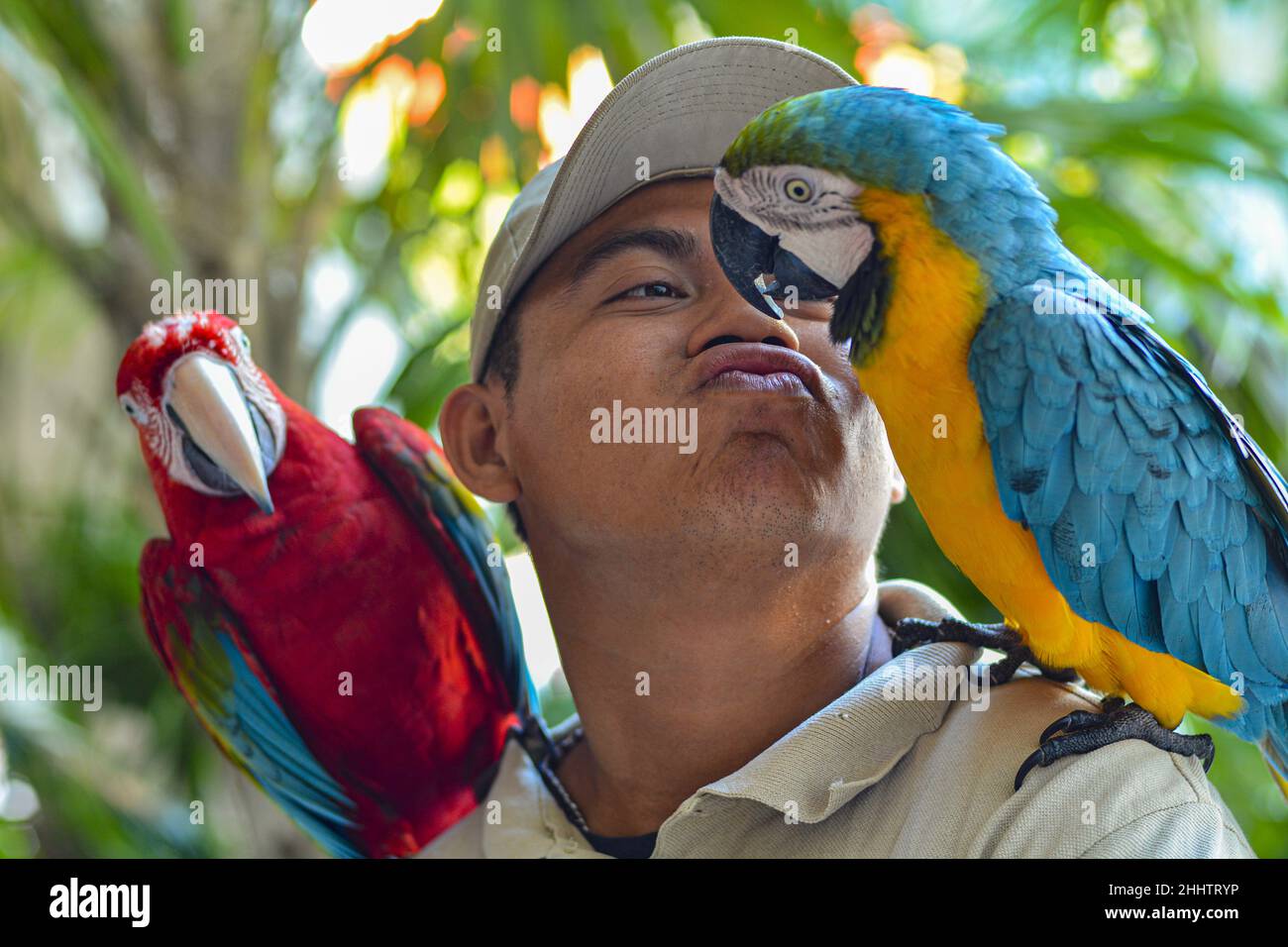 Baby parrot with kids hi-res stock photography and images - Alamy