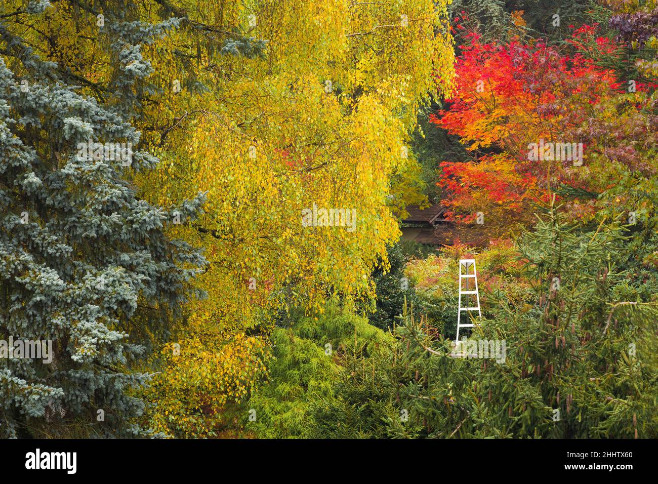 Ladder fall hi-res stock photography and images - Alamy