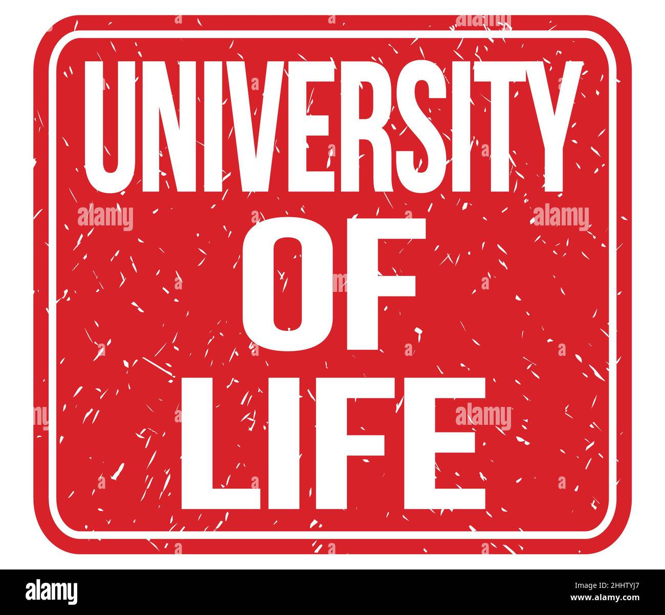 UNIVERSITY OF LIFE, text written on red stamp sign Stock Photo - Alamy