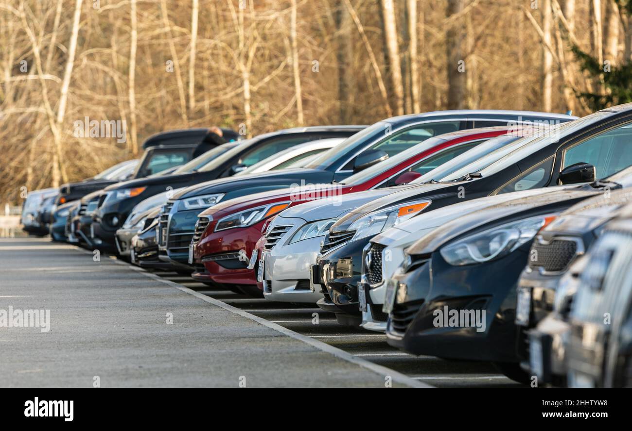 Car parking in asphalt parking lot in city park. Outdoor parking lot ...