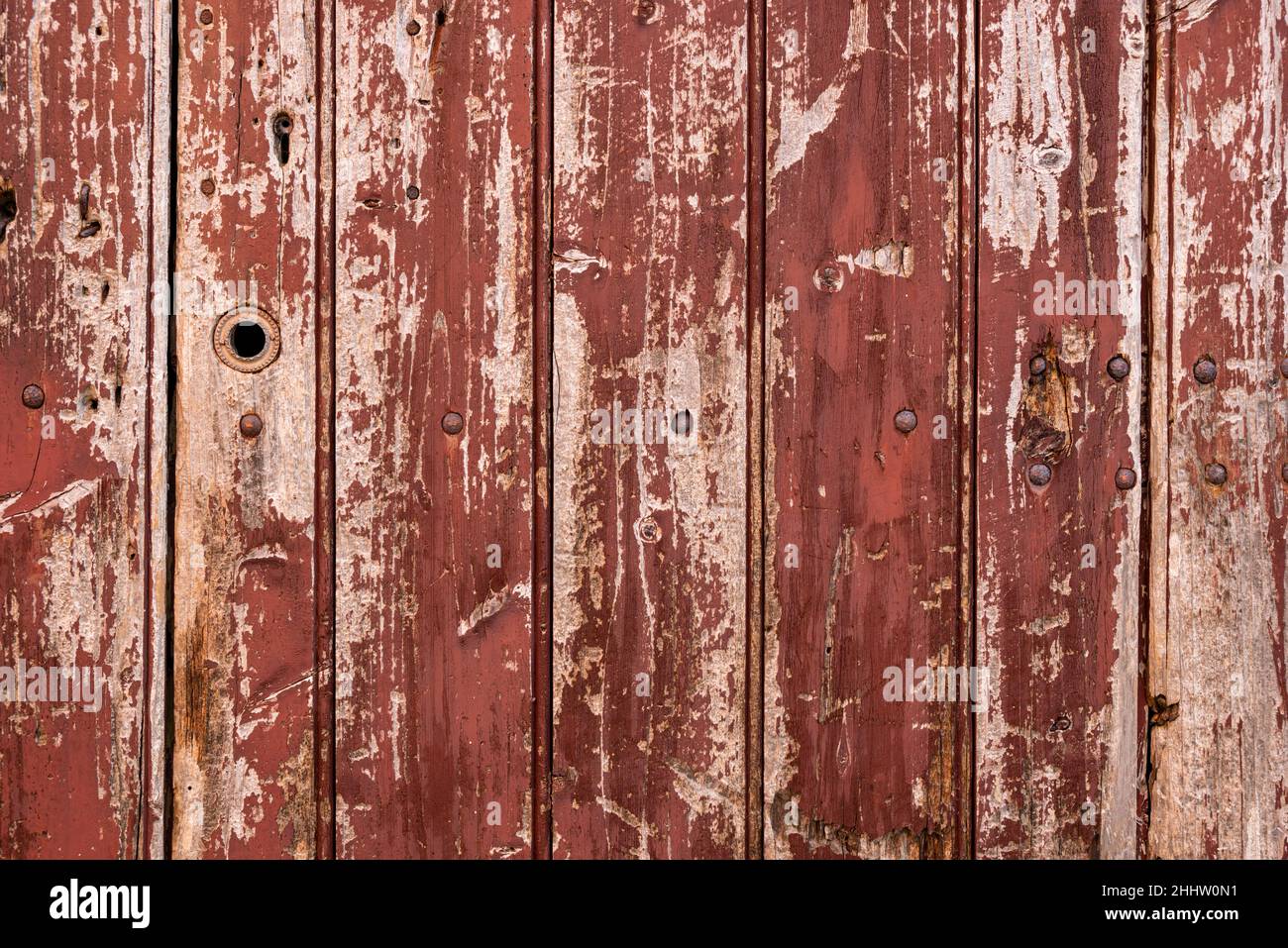 Rough background texture, showing a weathered and scratched wooden door with peeling red paint ...