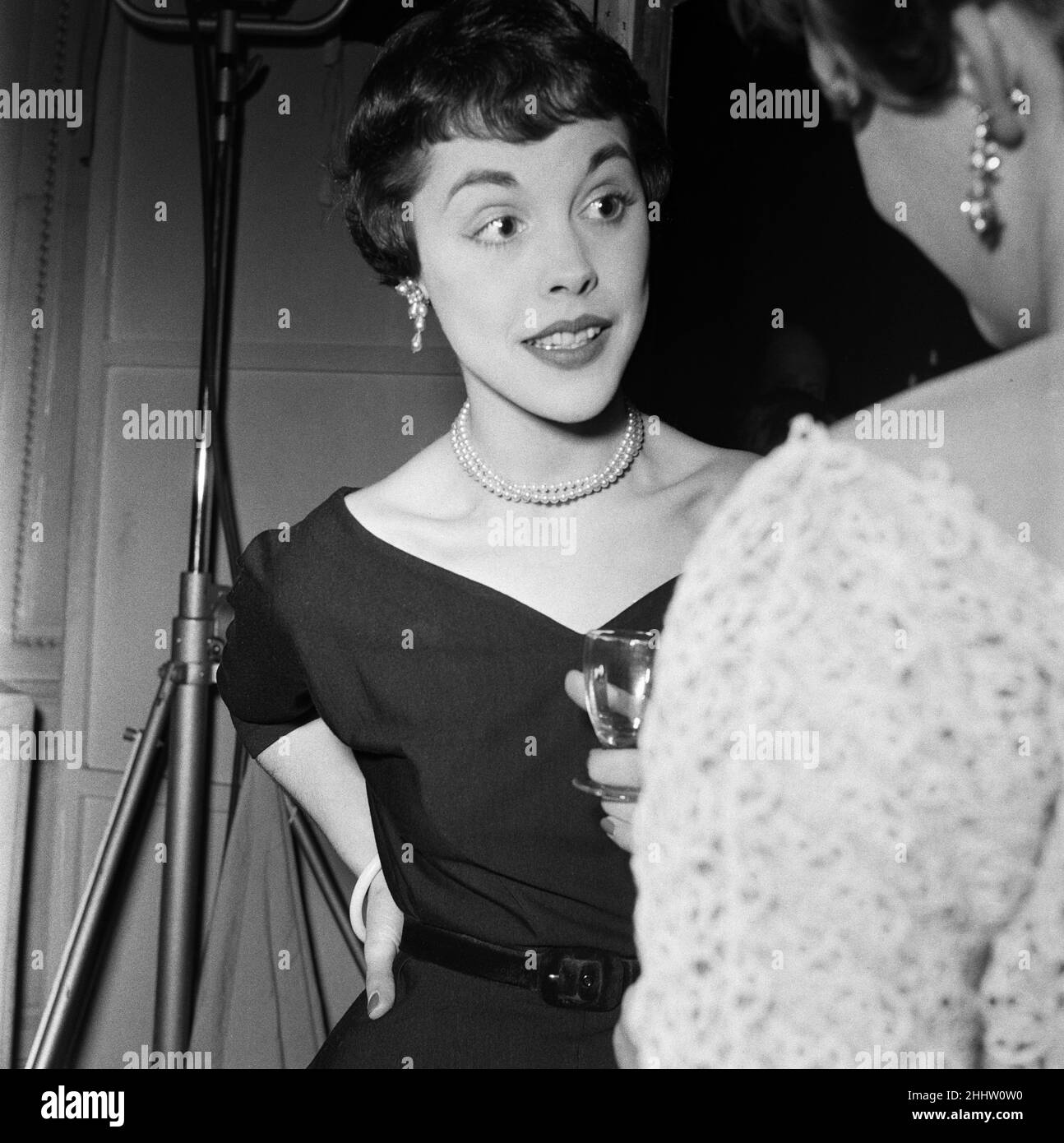 A party held by Barbara Allen, who runs a model agency. London. 21st ...