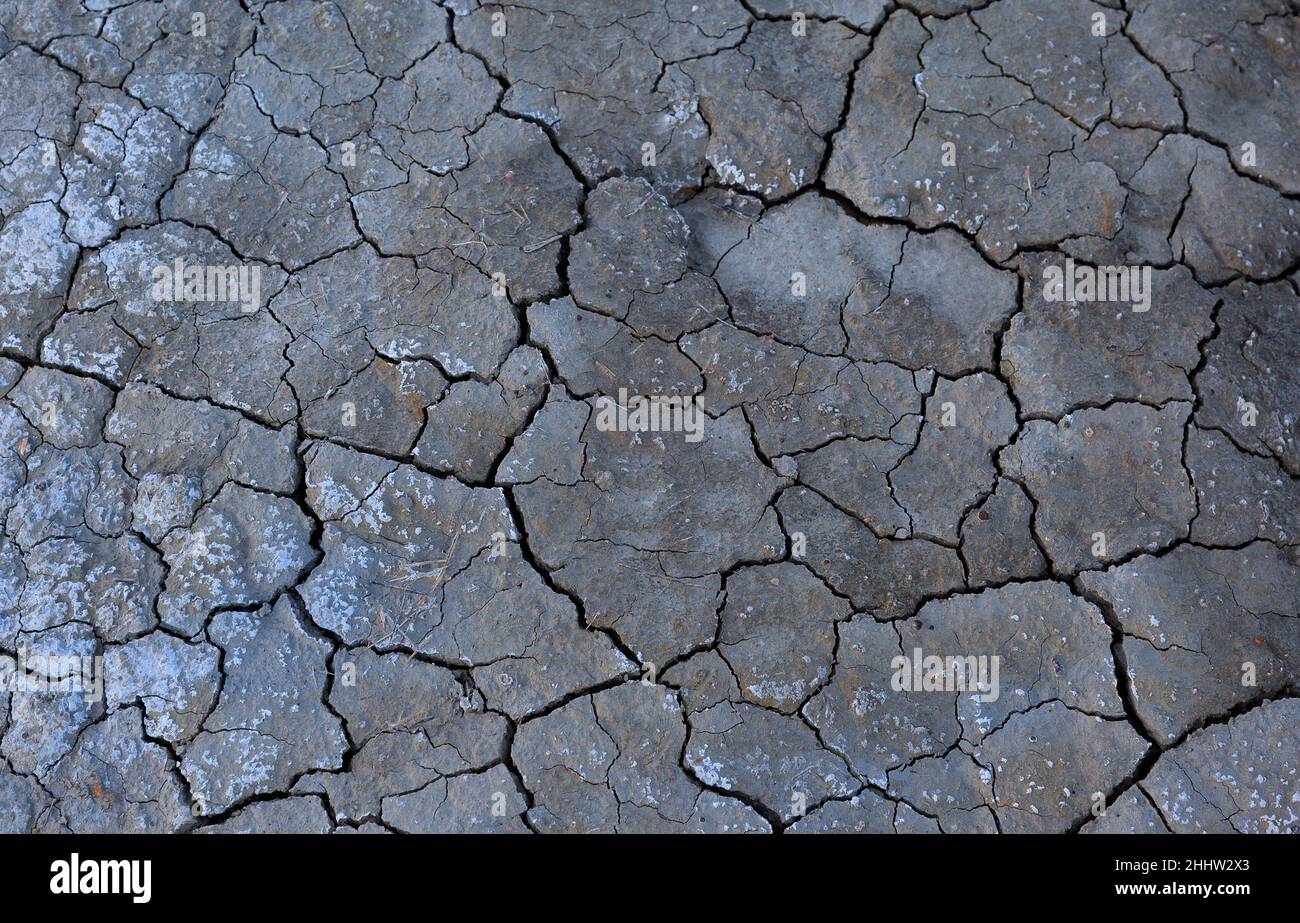 The natural cracked soil of Crete Senesi in the winter Stock Photo - Alamy