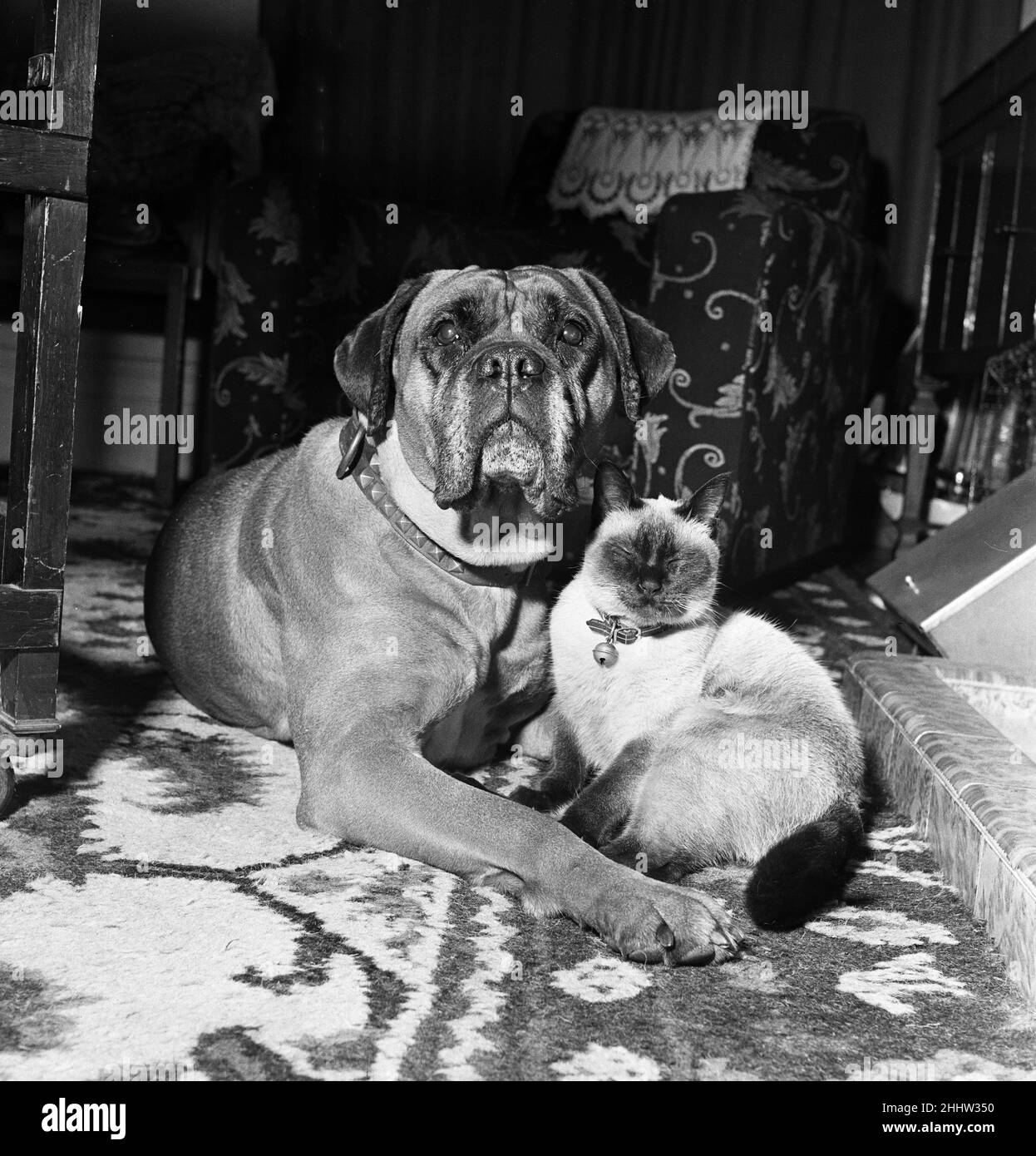 1950s in front of the fire hi-res stock photography and images - Alamy