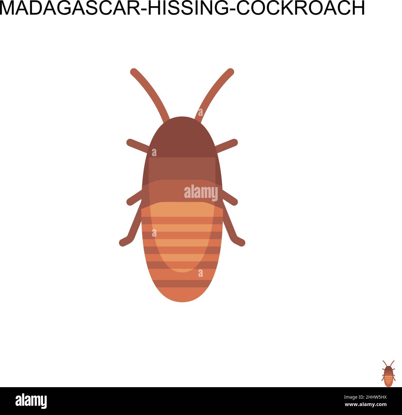 Madagascar Hissing Cockroach Clipart