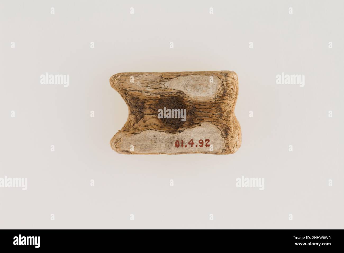 Knuckle Bone ca. 3100–2900 B.C. Early Dynastic Period. Knuckle Bone. ca ...