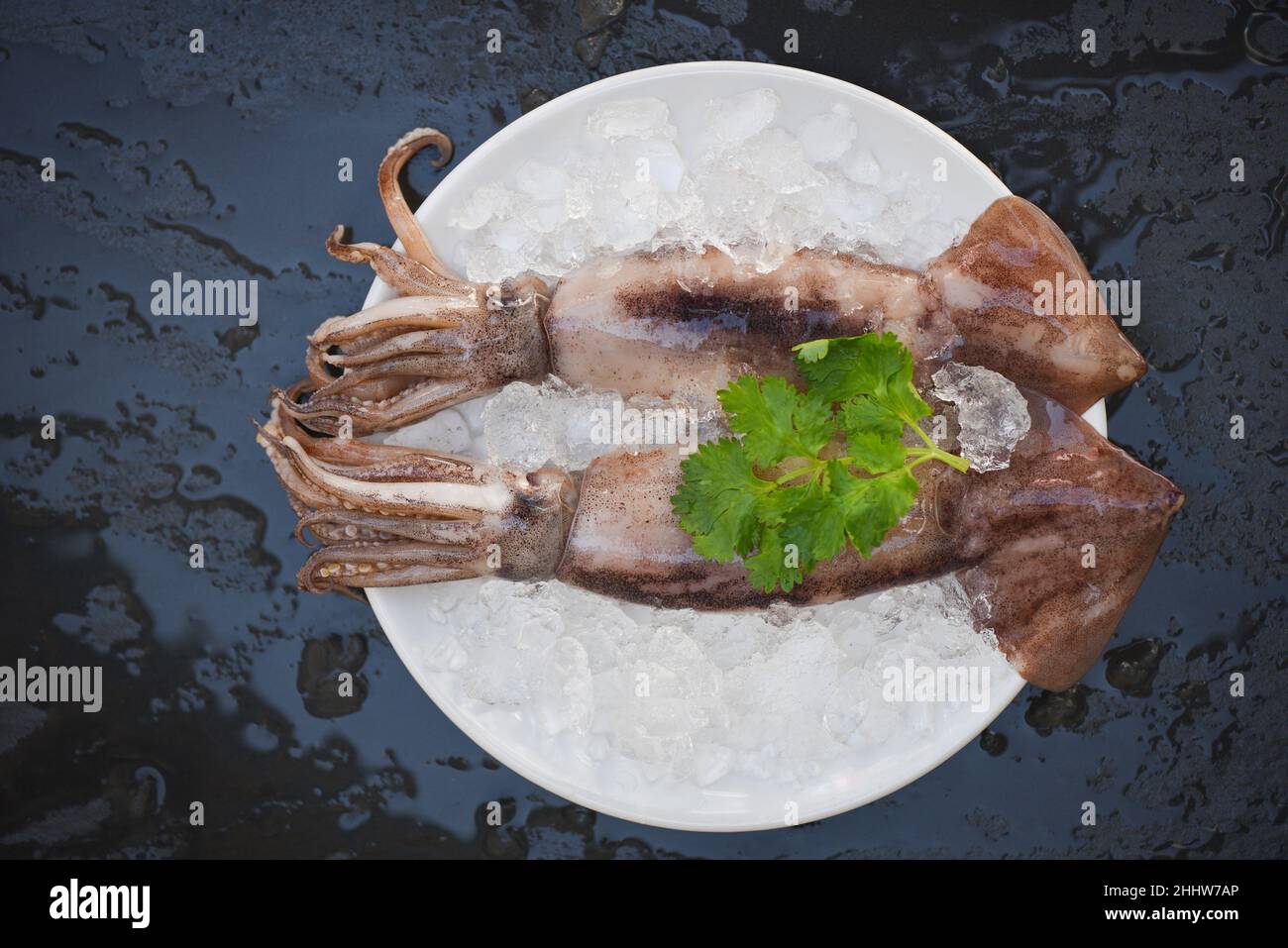 Fresh squids octopus or cuttlefish for cooked food at restaurant or ...