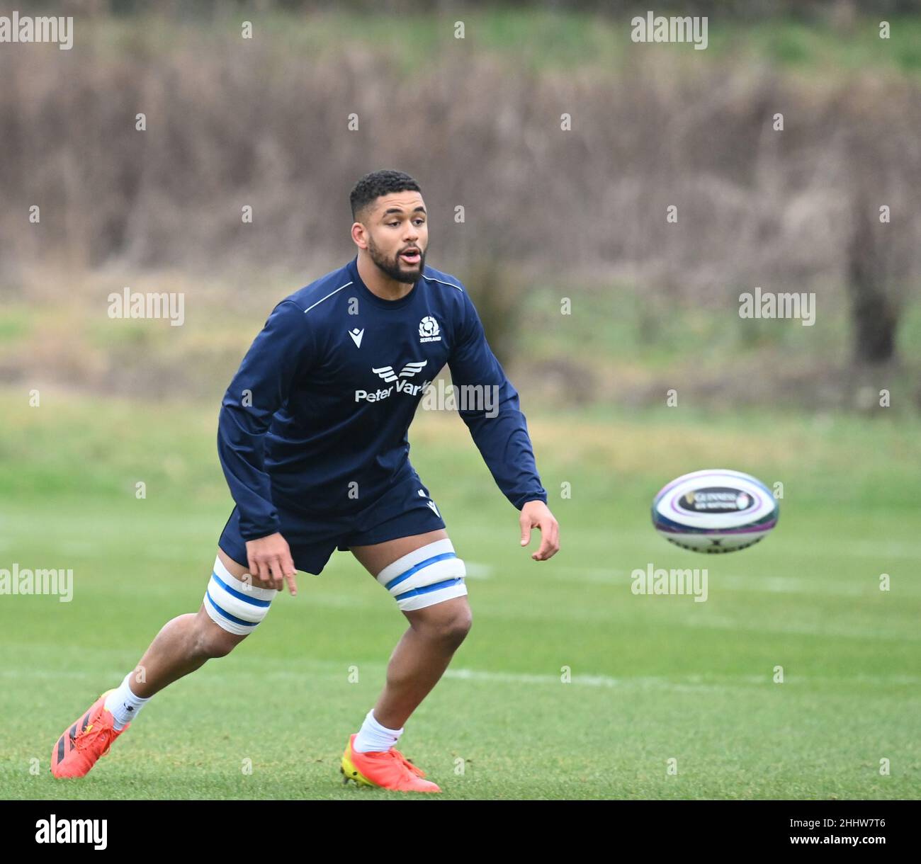 Rugby scotlands hi-res stock photography and images - Alamy