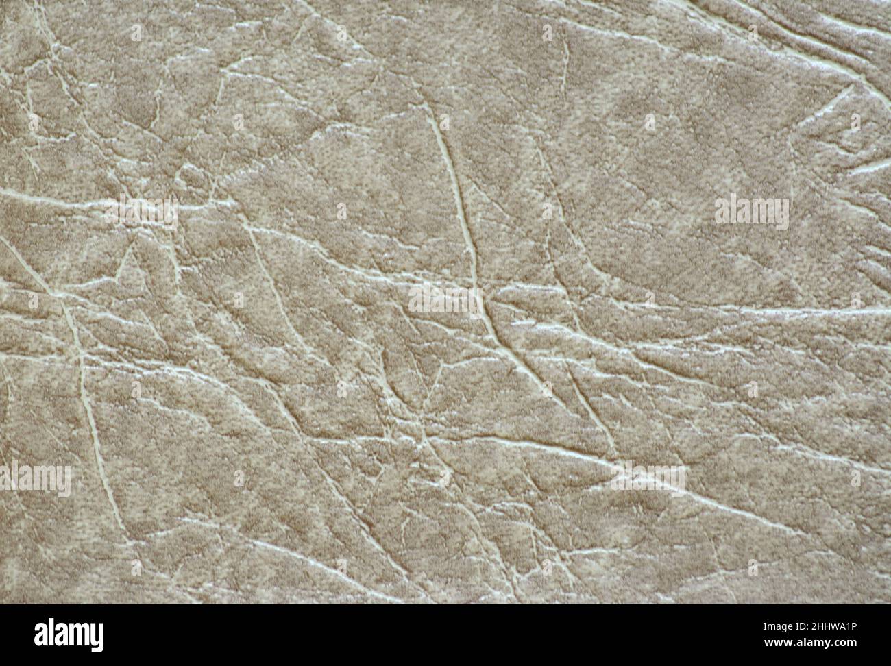 Fragment of natural animal skin of pale gray color with large and deep ...