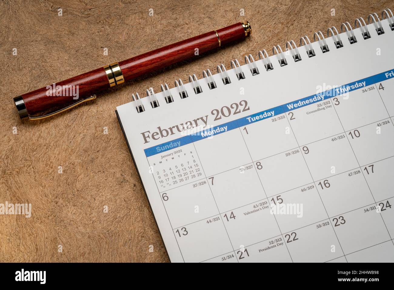February 2022 - spiral desktop calendar against textured bark paper ...
