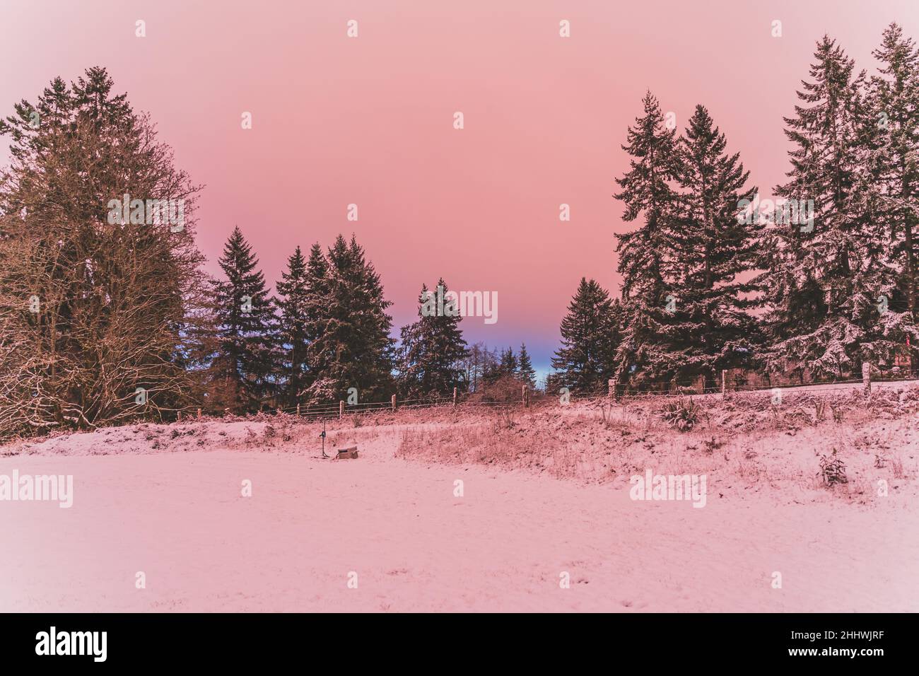 Pink sky illuminated after sunset in winter after snowfall Stock Photo ...