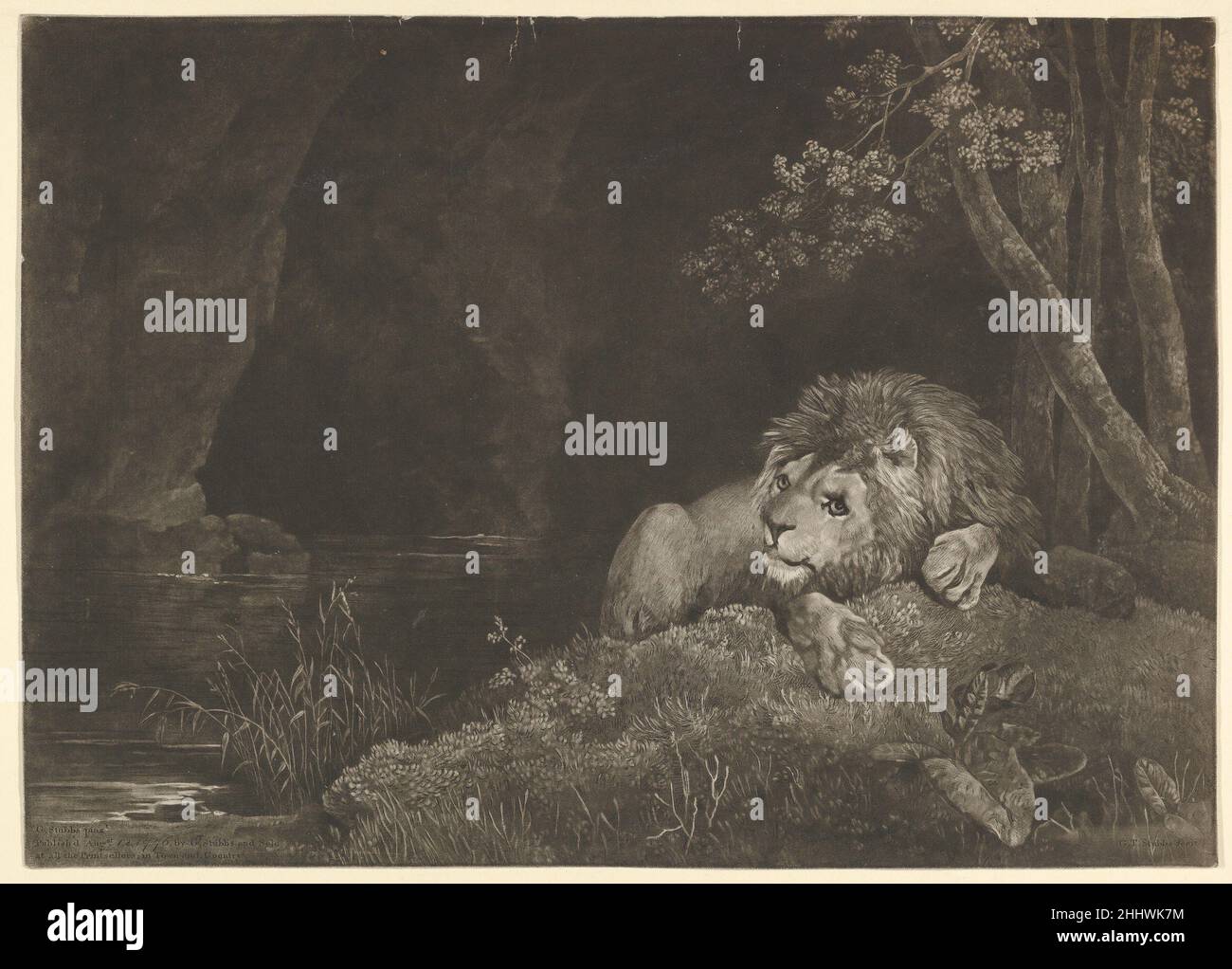 British flora fauna etching hi-res stock photography and images - Alamy