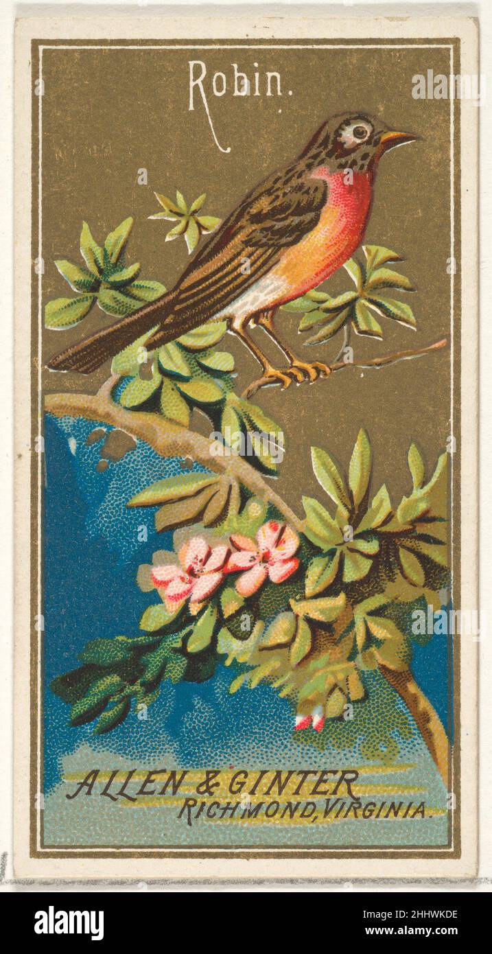 Robin cigarettes hi-res stock photography and images - Alamy