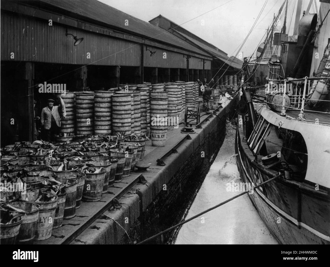 Catch being landed at Hull's Fish Dock at St Andrew's Dock. Circa 1955 ...