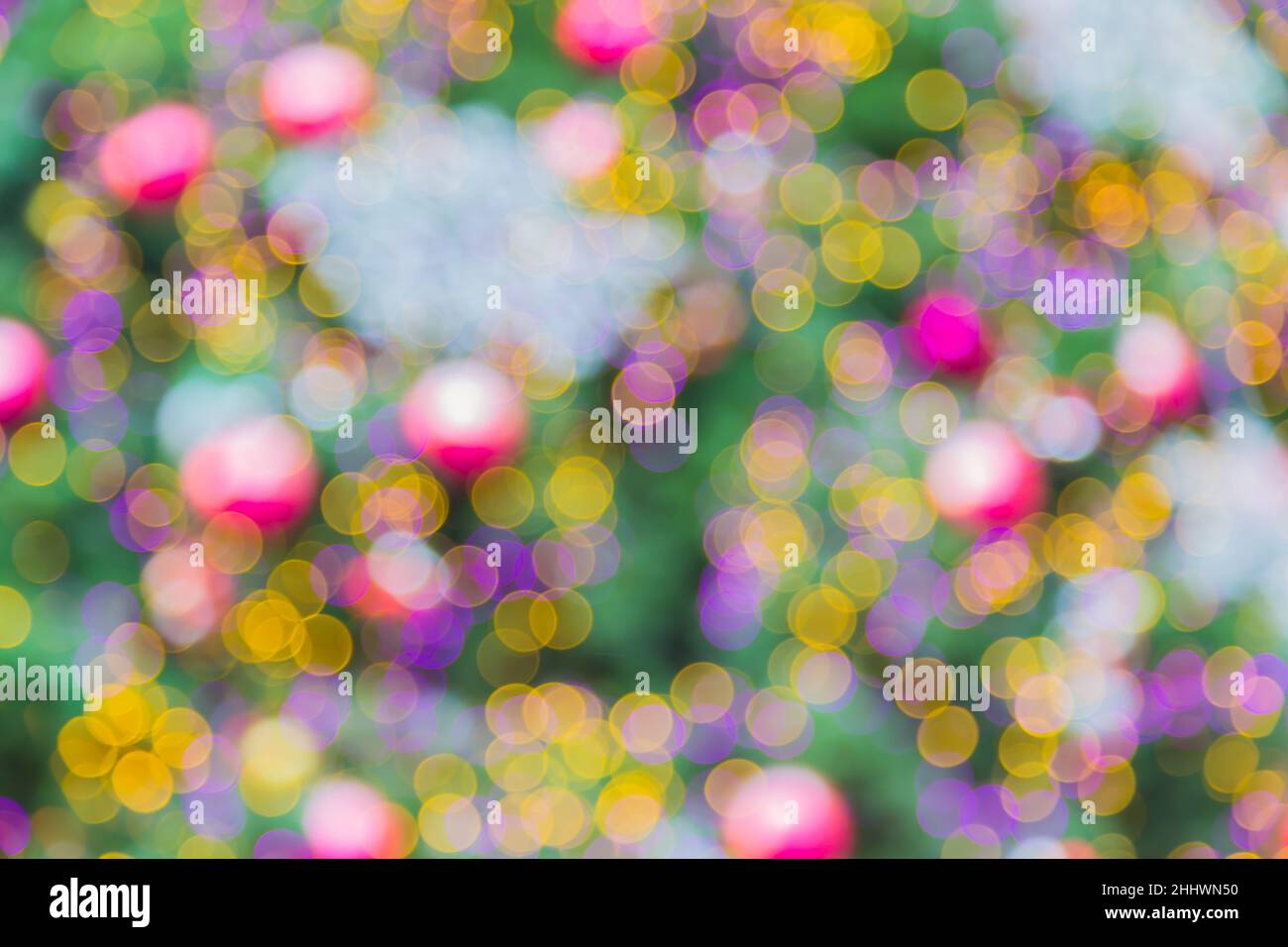 Abstract image of Christmas Lights Bokeh background Stock Photo - Alamy