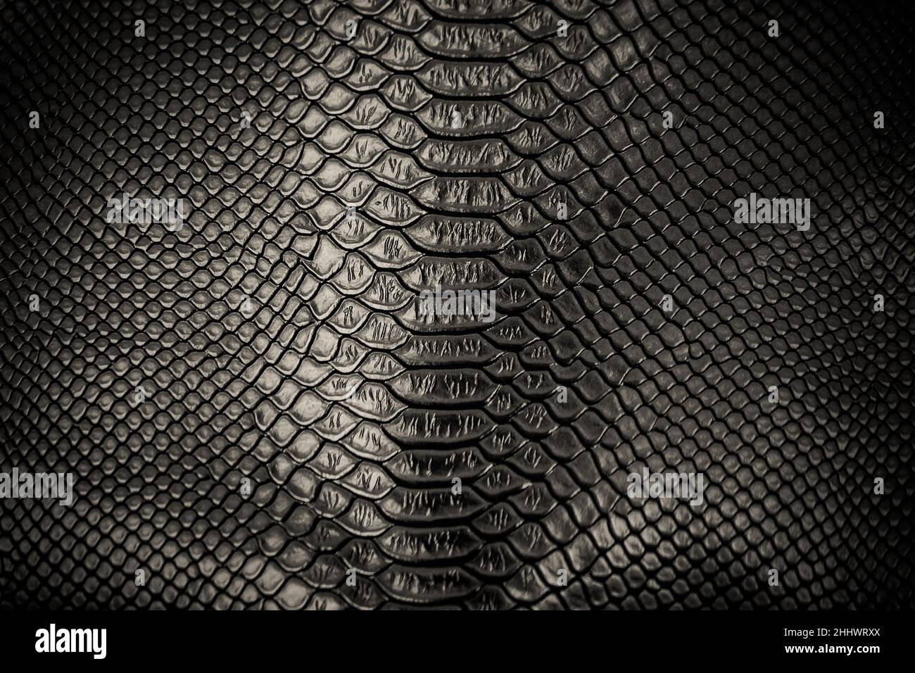 Black skin leather texture use for background Stock Photo - Alamy