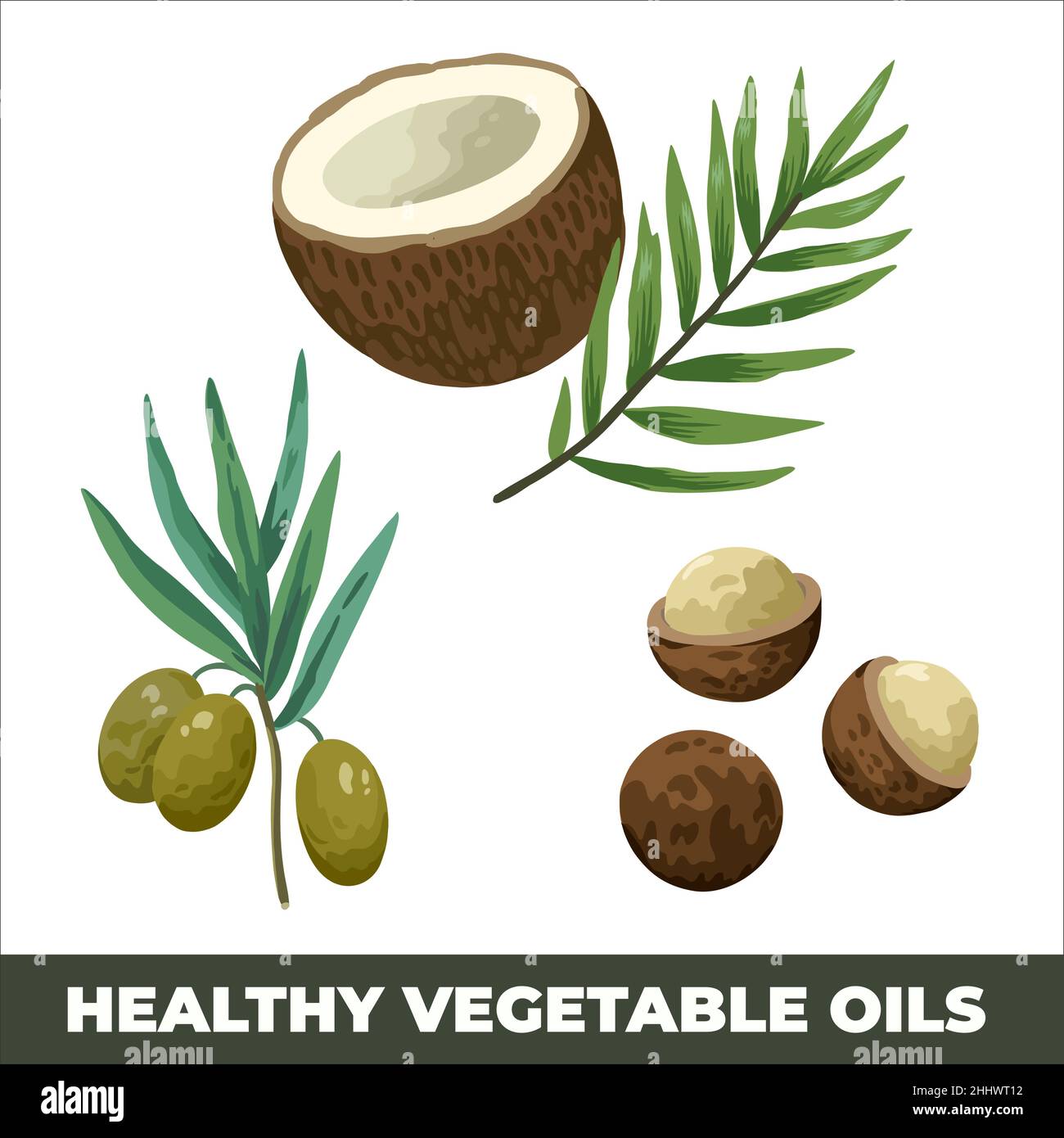 Oil rich seed Stock Vector Images - Alamy