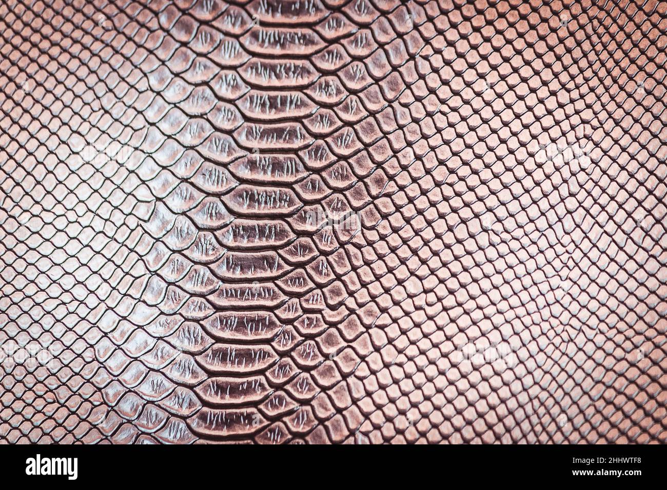 skin leather texture use for background Stock Photo - Alamy