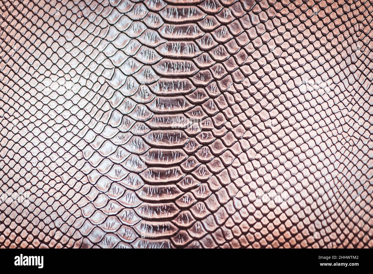 skin leather texture use for background Stock Photo - Alamy