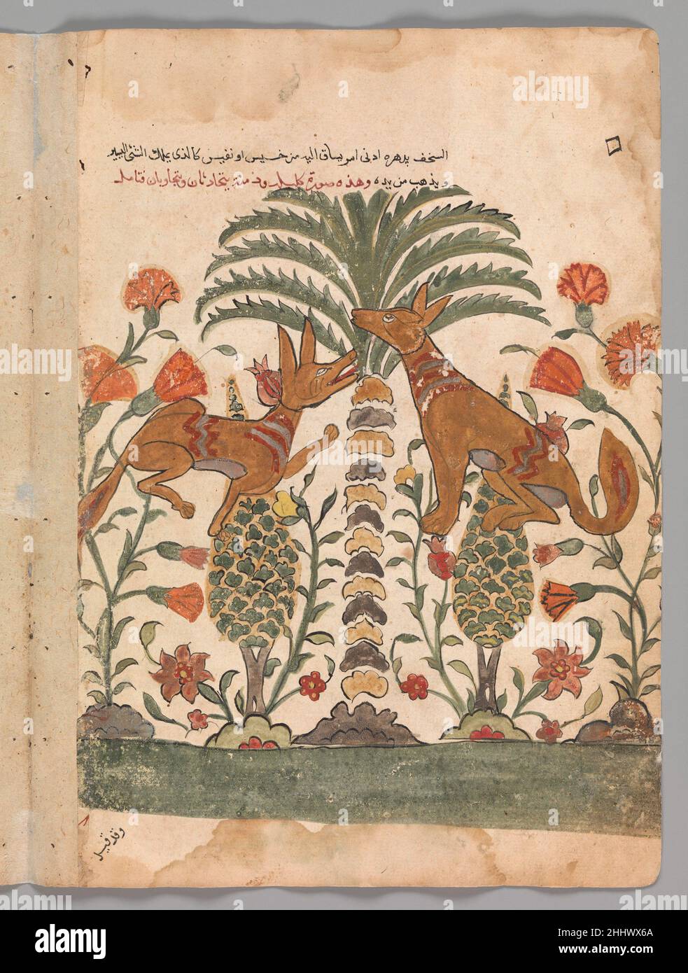 "Kalila Upbraiding Dimna", Folio from a Kalila wa Dimna second quarter ...