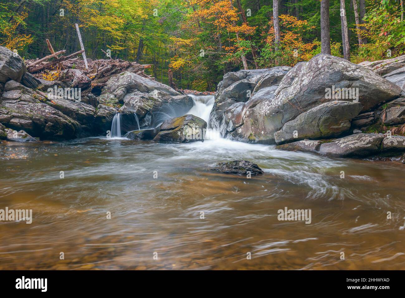 Vernooy kill state forest hi-res stock photography and images - Alamy