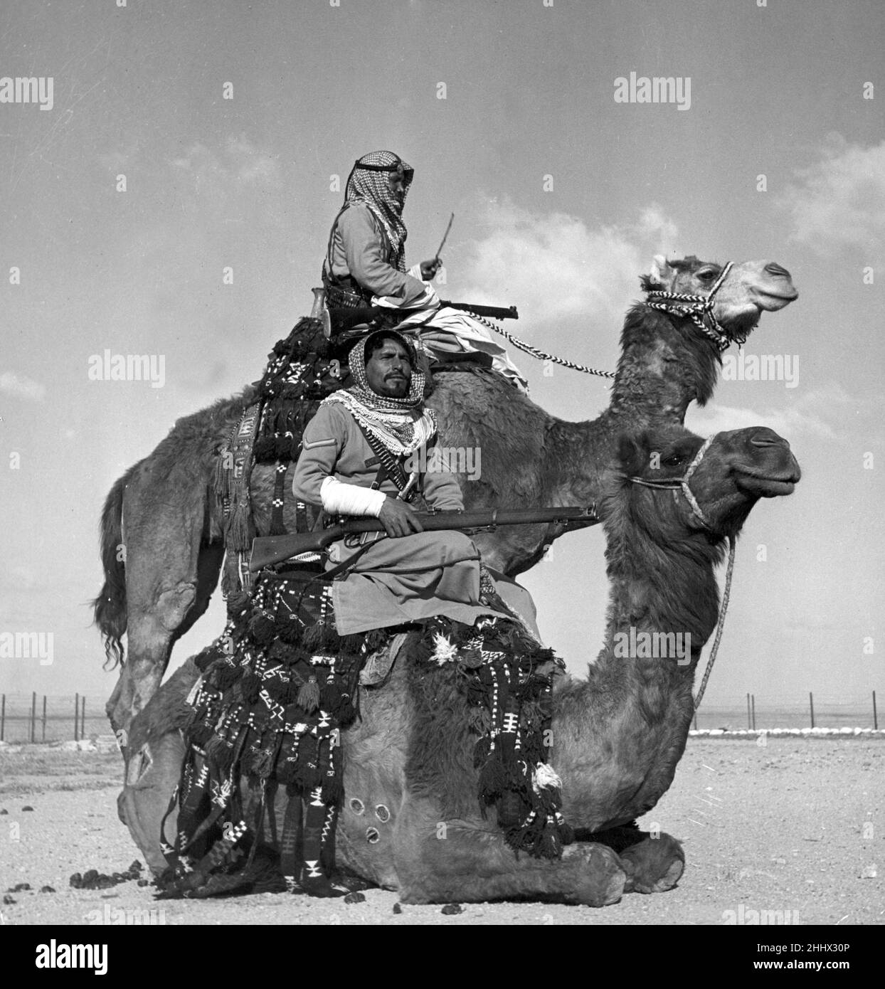 Arab legion hi-res stock photography and images - Alamy