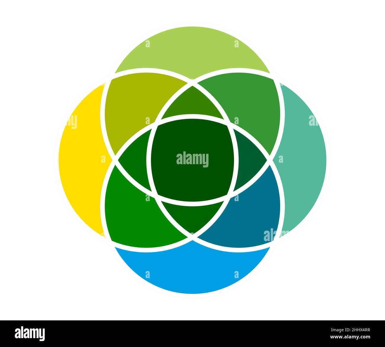 Infographic Venn Diagram