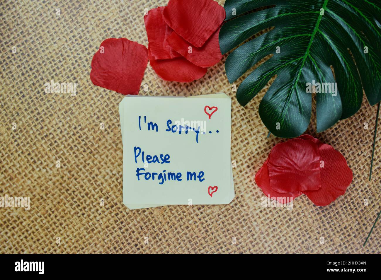 Please Forgive Me