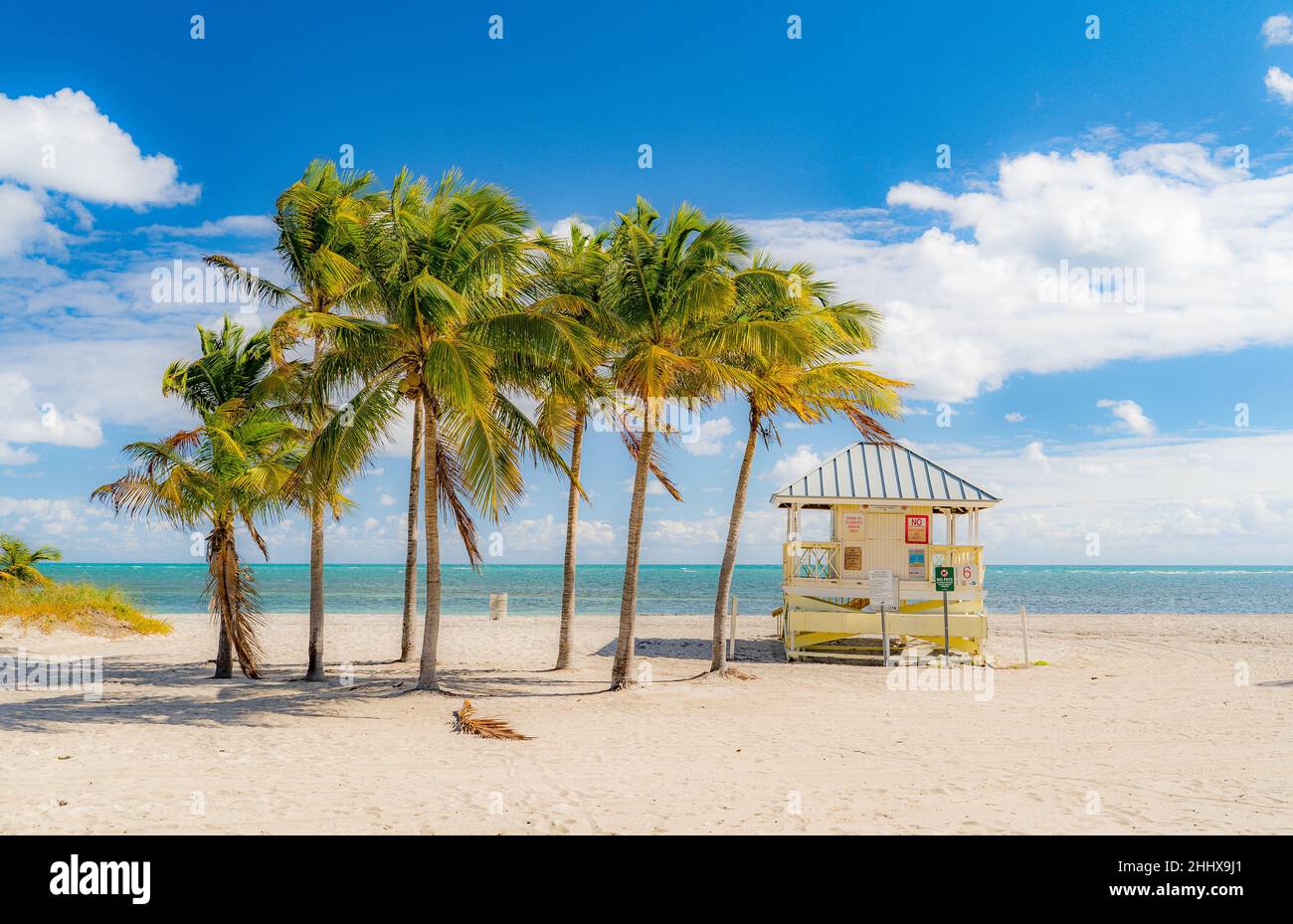 Natural view of a small house with tall palm trees the Crandon Beach in ...