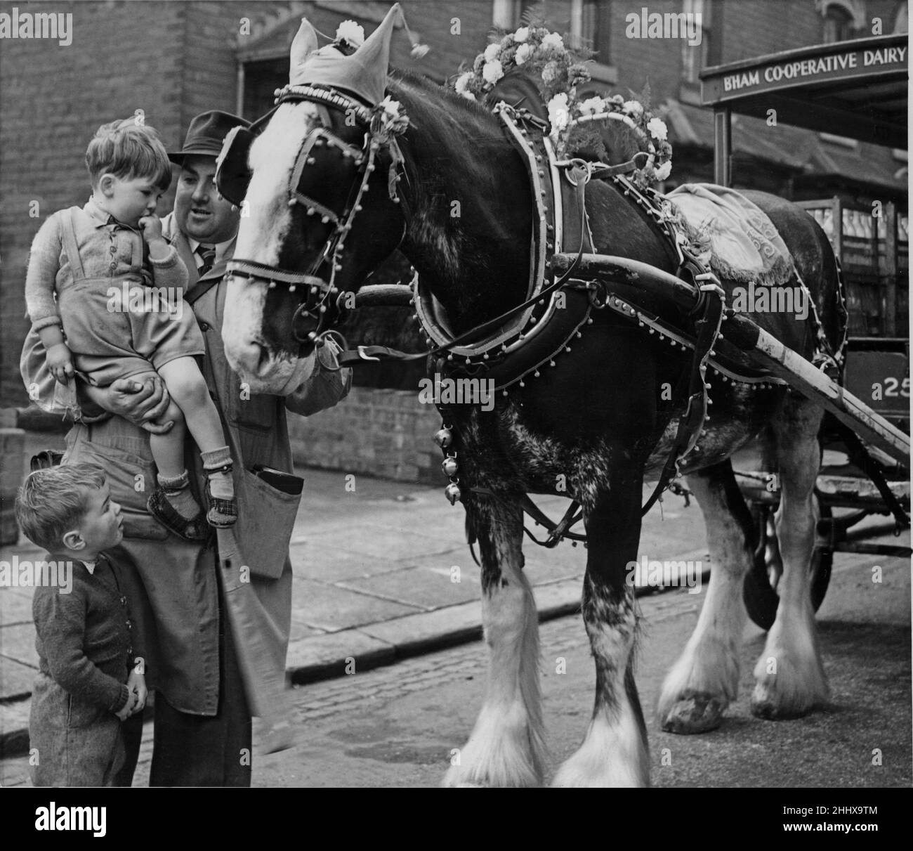 Birmingham Co-Operative milkman with his dairy float and horse, which ...