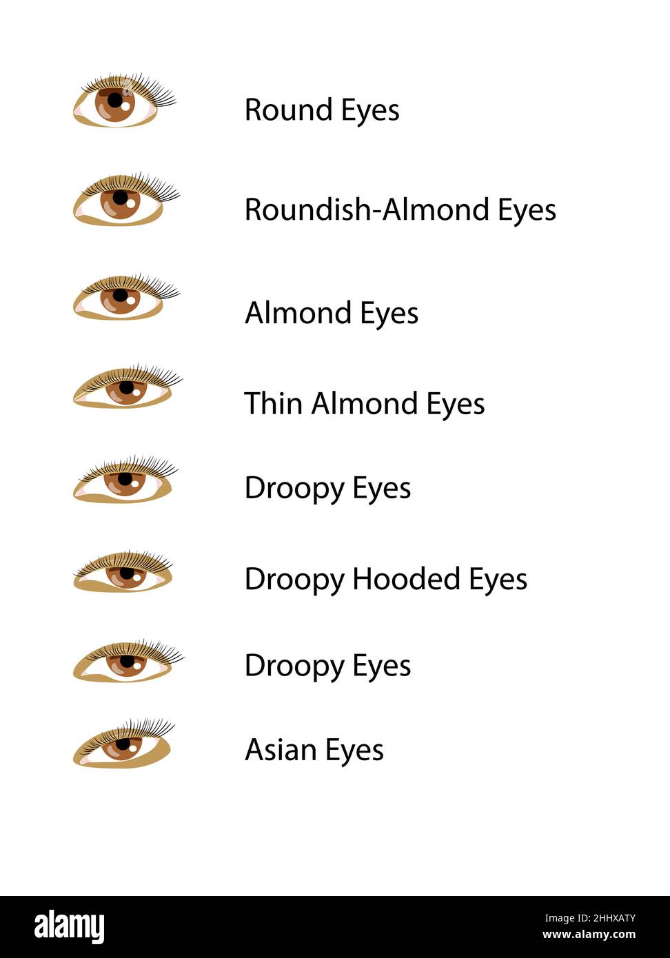 Round Almond Eyes