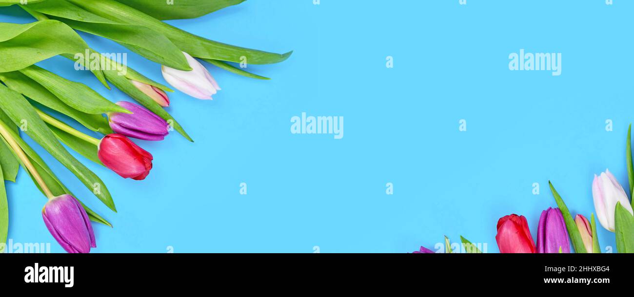 Spring Banner Pictures