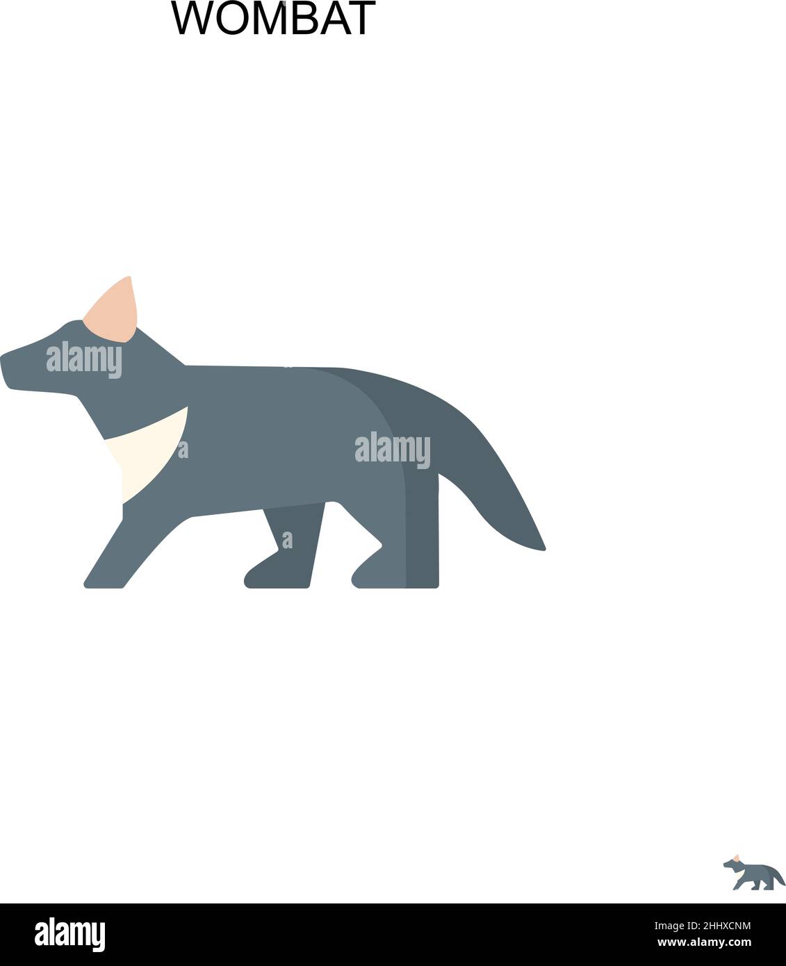 Baby wombat hi-res stock photography and images - Alamy