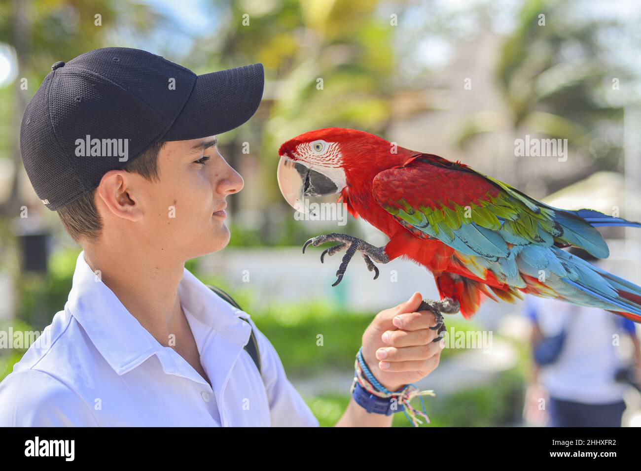 Baby parrot with kids hi-res stock photography and images - Alamy