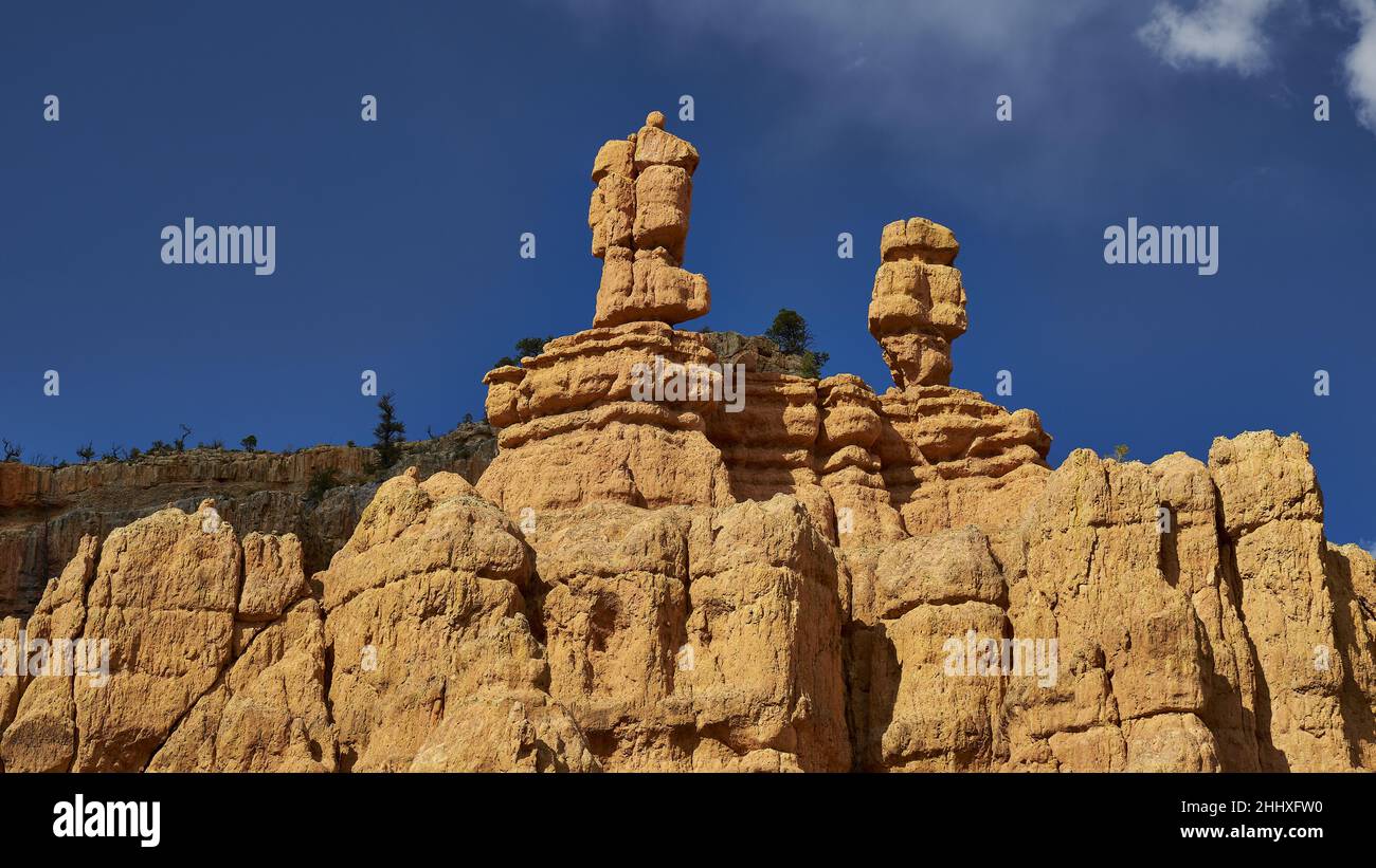 Low angle shot of Bryce Canyon in America Stock Photo - Alamy