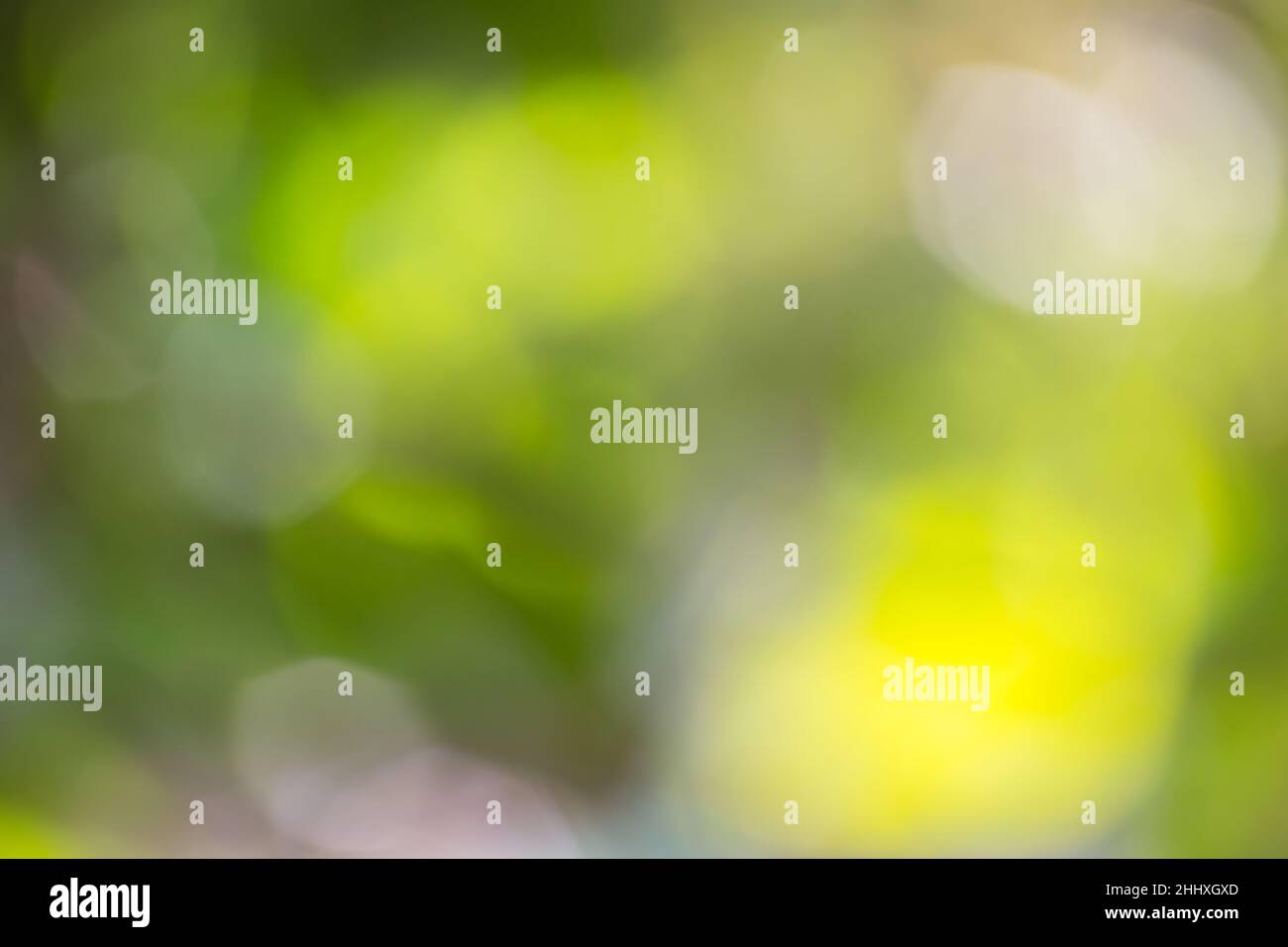 green bokeh of nature use for background Stock Photo - Alamy