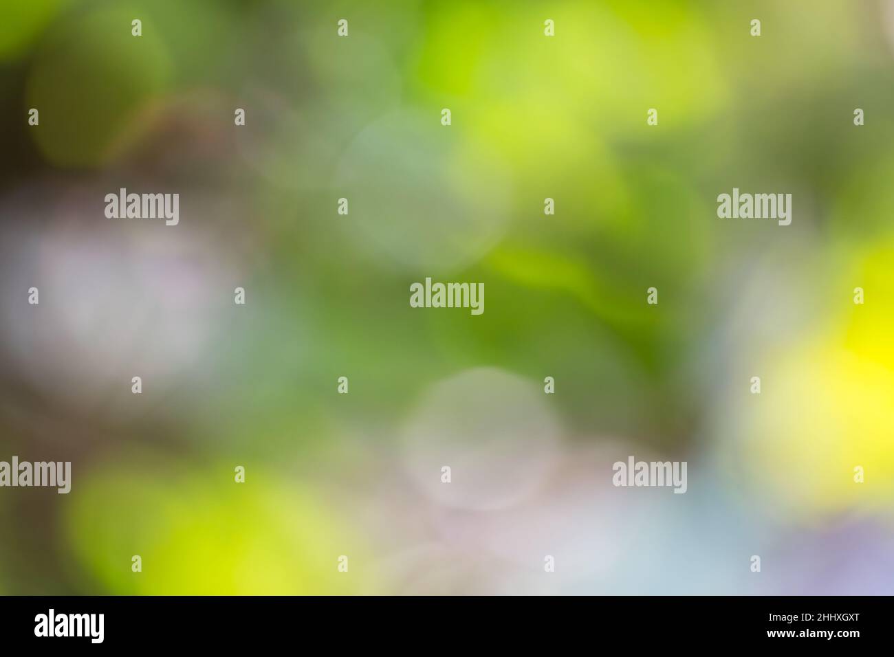 green bokeh of nature use for background Stock Photo - Alamy
