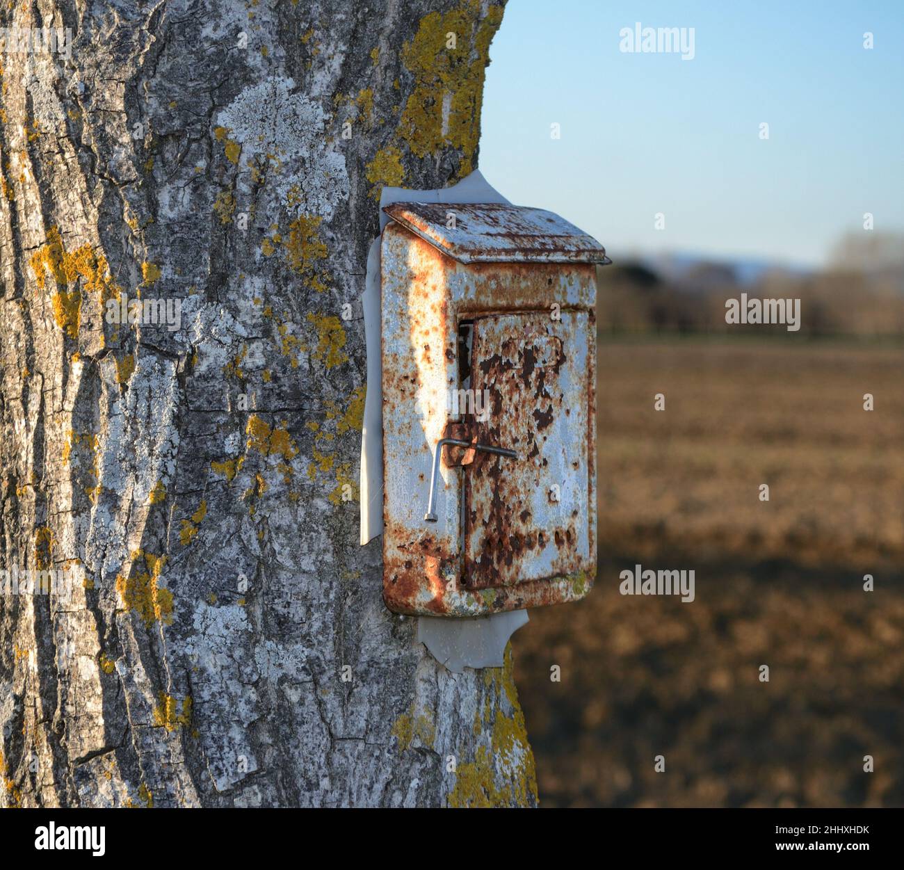 Close-up of rusty mailbox on tree trunk trunk covered by white and ...